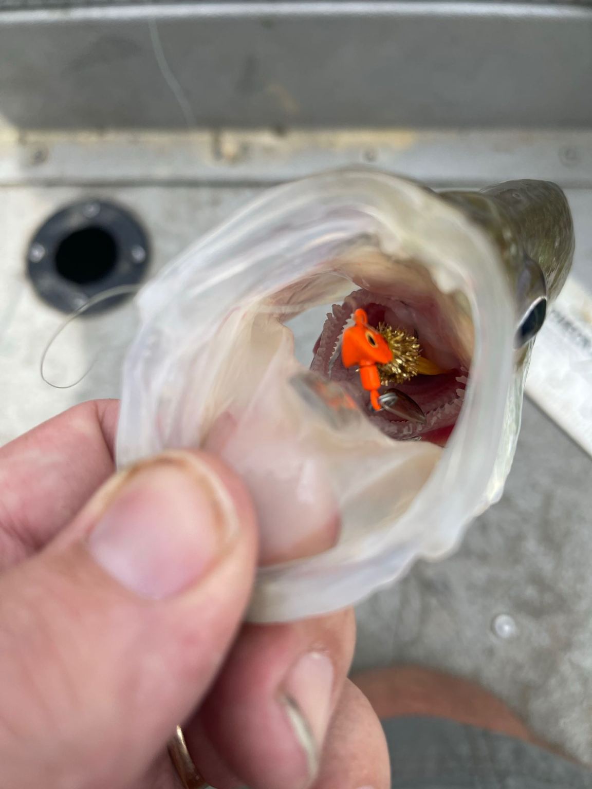 Bucktail-Lures - The Best in American made Fishing Tackle